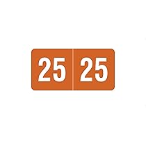 Medical Chart Year Stickers 25 2025 Labels For Charts 2025 Year Labels ...