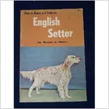 How to Raise and Train an English Setter: Susan S. Maire: 9780876662922 ...