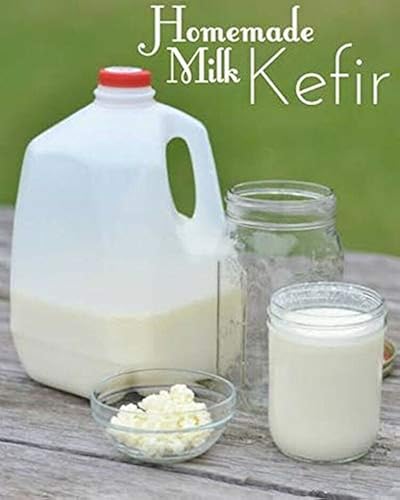 Milk Kefir Grains Live Raw Organic Ebook Family Farm in Oman | Whizz Kefir