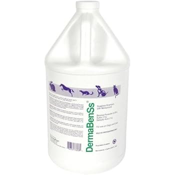 Pet Shampoos : Amazon.com: DermaPet DermaBenSs Soapless Shampoo with ...