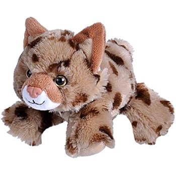 Amazon.com: Wild Republic Bobcat Plush, Stuffed Animal, Plush Toy ...