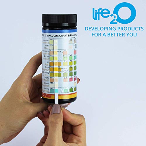 Complete 10-in-1 Urine Test Strips 100ct | Urinalysis Dip-Stick Testing ...