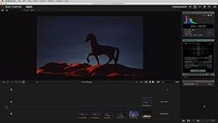 Amazon.com: Dragonframe 4 Stop Motion Software + USB Controller