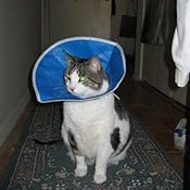 Amazon.com : Trimline Veterinary Soft Recovery Collar for Cats & Small ...