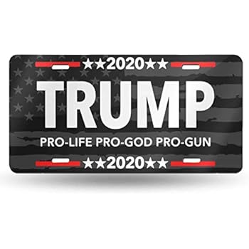 Amazon.com: Donald Trump Patriotic Photo License Plate: Automotive