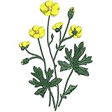 Amazon.com: Threadart Machine Embroidery Design Bundles - Home Decor ...