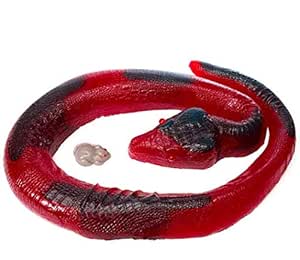 Amazon.com : Giant Gummy Bears Party Python, 8 ft, 26.9 lbs : Grocery ...