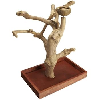 Amazon.com : A&E CAGE COMPANY AE250S Java Wood Tree : Bird Perches ...