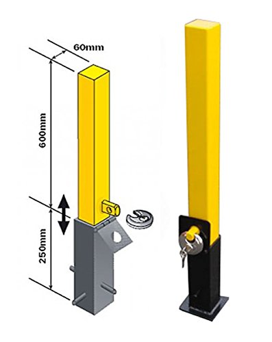 Fastcar 2 x Maypole Removable Security Posts (Concrete-In Design ...