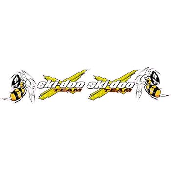 Amazon.com: Nostalgia Decals Team Ski-Doo Killer Bee Decal 12" in the ...