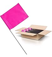 Amazon.com: Purple Marking Flags 100 Pack - ACE Supply - 4x5-Inch ...