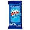 Amazon.com: Windex Flat Pack Wipes, 28-Count (Pack of 3): Health ...