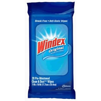 Amazon.com: Windex Flat Pack Wipes, 28-Count (Pack of 3): Health ...