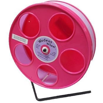 Amazon.com : Pink Hamster Wheel, the Wodent Wheel 'Jr.' 8" with ...