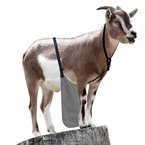 Chuanke Anti Breeding Buck Apron Anti Mating Skirt with Chest Strap for ...