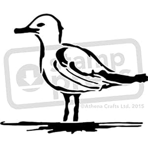 Amazon.com: A5 'Seagull' Wall Stencil / Template (WS00012791): Arts ...