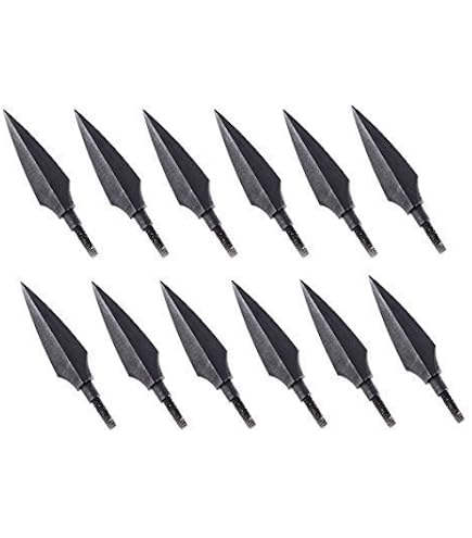Two Blade Arrow Points Archery Hunting - 2 Blade Fixed Traditional ...