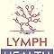 Lymph Health: The Key to a Strong Immune System: Vasey N.D ...