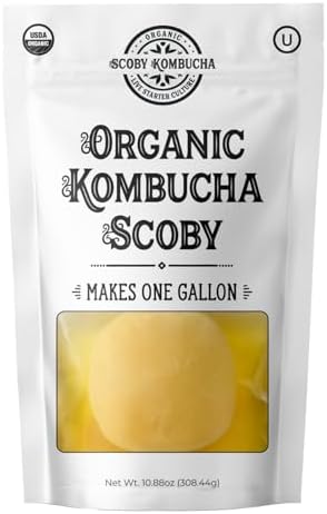 Scoby Kombucha FBA_LEPAZC5747 1 X Organic Kombucha Scoby-Live Culture ...