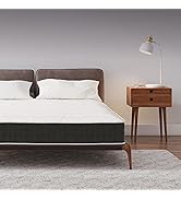 Amazon.com: Signature Sleep Memoir 12" High-Density, Responsive Memory ...