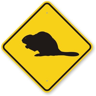 Amazon.com: Beaver Crossing Sign, 12" x 12": Garden & Outdoor