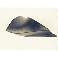 Amazon.com: Front Left Hand Driver Door Panel Cover w/ Mirror Control ...