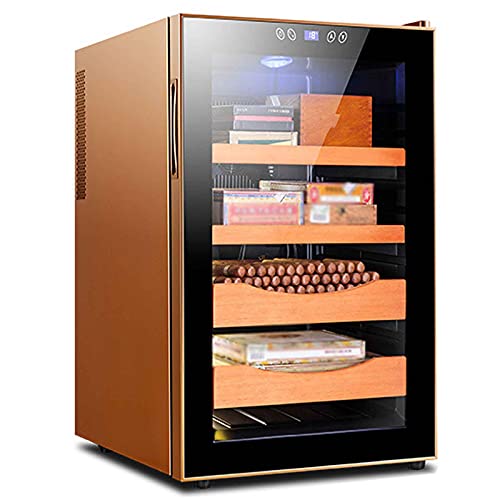 yunyun Thermoelectric Cooler Humidor,Freestanding Compact Mini Cigar ...