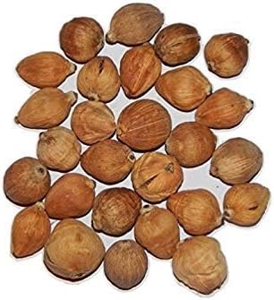 advancedestore Sriphal Laghu Coconut (Pack of 3-FLX) price in Saudi ...