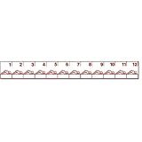 Inchworm Titanium Ruler