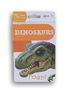 Amazon.com: Bendon Dinosaurs Flash Cards: Toys & Games