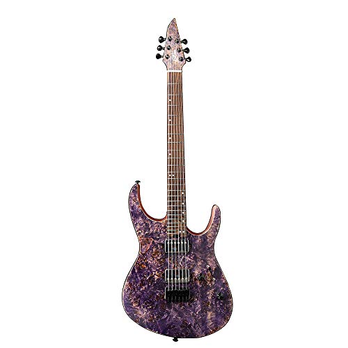 EART EXPLORER-1 Guitarra eléctrica Guitarra eléctrica de cuerpo sólido ...