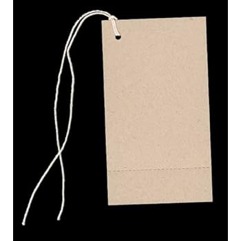 Amazon.com : 100 Large Blank PERFORATED KRAFT Hang Tags (2-1/8"x3-5/8 ...