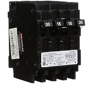 Murray MP21520 1/2-Inch Frame Two Single 15 one Double Pole 20-Amp ...