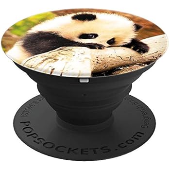 Amazon.com: Cute Baby Panda Pop Socket Black And White Animal ...