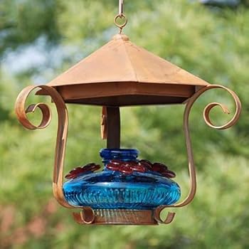 Amazon.com : Parasol BLOOMSHAQ Bloom Shelter Hummingbird Feeder Aqua ...