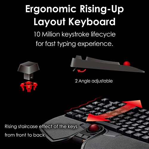 ELECOM Japanese Layout Wired Keyboard with Built-in Trackball & Scroll ...