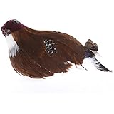 Amazon.com: Inspired By Nature Realistic Plump Feathered Artificial ...