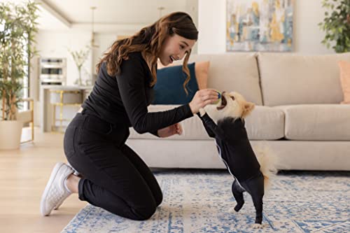 Shed Defender Bodysuit for Dogs - Original Dog Onesie Shedding Shirt ...