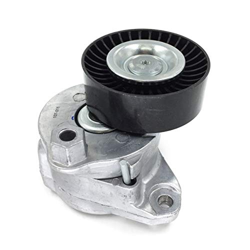 Buy Begel Germany Serpentine Belt Tensioner Pulley | Drive Belt ...