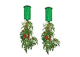 Super-Size Topsy-Turvy Upside-Down Tomato Tree - The Green Head