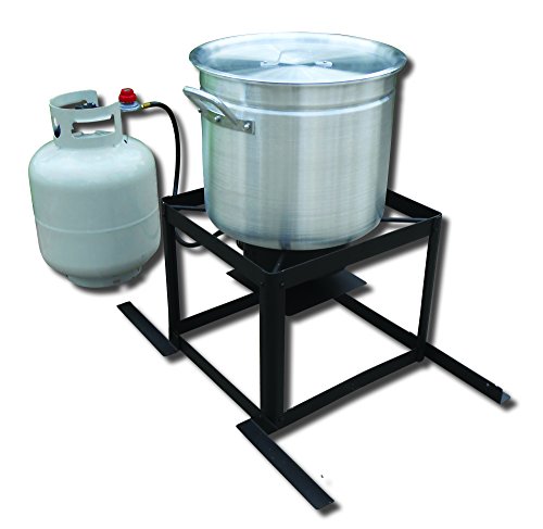 Emson 8303MO Indoor Pressure Smoker Review | Best Grill Reviews