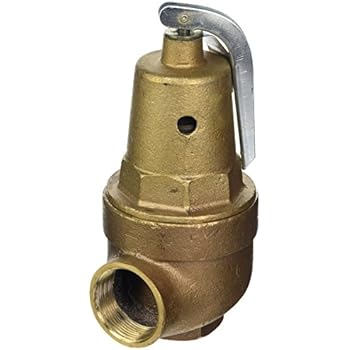 Amazon.com : Pentair A0063300 75-PSI Pressure Relief Valve Replacement ...
