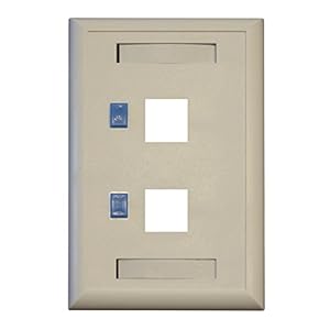 Amazon.com: Tripp Lite Dual Outlet RJ45 Universal Keystone Face Plate ...