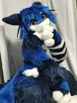 Mua FurryWu Studio Japan Kemono Kawaii Royal Blue Cat Dog Fox Fursuit ...