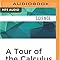 Tour of the Calculus, A: David Berlinski, Dennis Holland: 9781536665451 ...