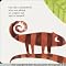 A Color of His Own: Leo Lionni, Leo Lionni: 9780375810916: Amazon.com ...