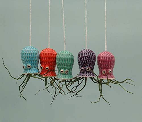 Amazon.com: Small Hanging Octopus Air Plant Hanger : Handmade Products