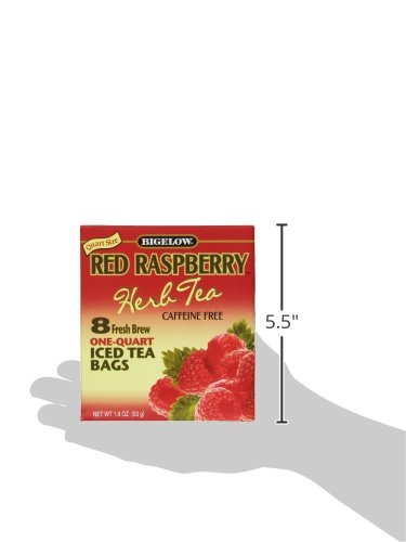 Bigelow Red Raspberry Quart size Iced Herbal Tea Bags, 48 Caffeine Free ...