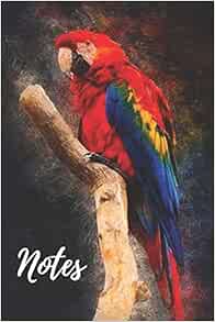 Parrot Notebook: cute parrots gift for bird and animal lovers (blank ...