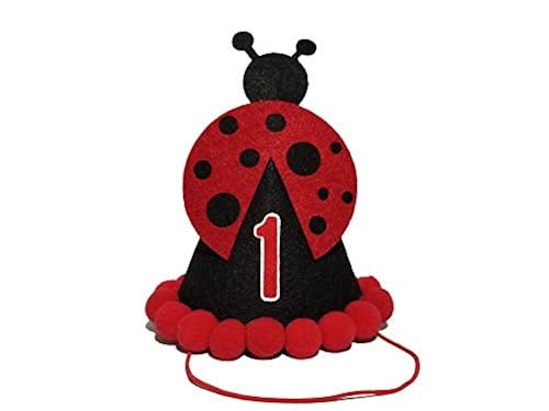 Orange Dolly Happy Ladybug 1st Birthday Party Hat-First Birthday Cake ...